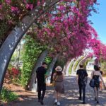 6 Hours Brisbane Private Tour  Popular Sights in One Day - Who Should Book This Tour?