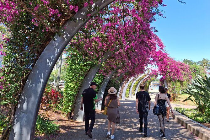 6 Hours Brisbane Private Tour  Popular Sights in One Day - Who Should Book This Tour?