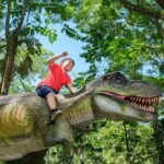 6 Hours Giant Zipline Adventure Park in Fiji - How The Day Unfolds