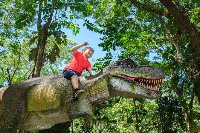 6 Hours Giant Zipline Adventure Park in Fiji - How The Day Unfolds