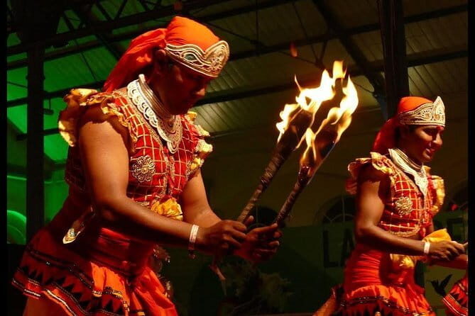 6-Night Honeymoon Package including Romantic Candlelight Dinner at Mangrove Cave - Who Will Love This Tour?