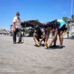 .6Hr Tour Diving Show Baby Turtle Release & All Attractions - Detailed Look at Each Stop