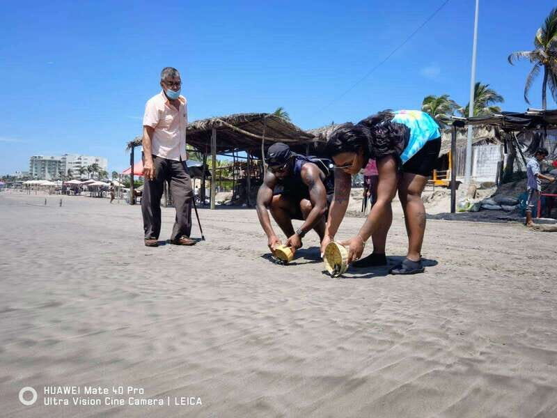.6Hr Tour Diving Show Baby Turtle Release & All Attractions - Detailed Look at Each Stop