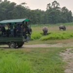 7 Day Himalayan Highlights: Culture, Mountain, Jungle Safari - Final Thoughts: Who Will Love This Tour?