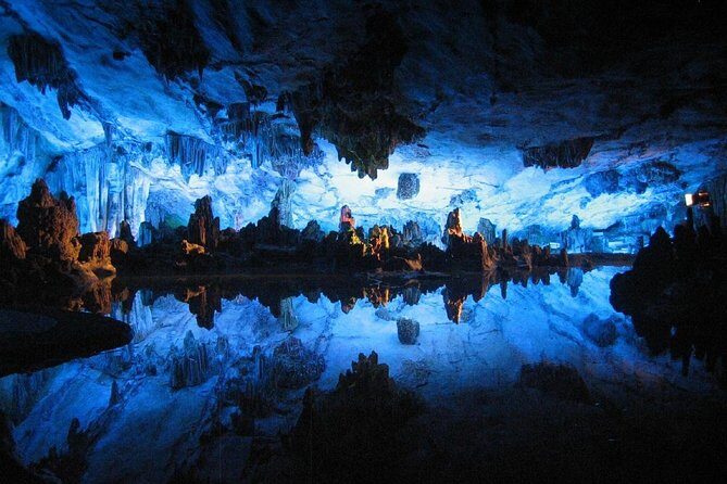 7 - Day North to South Island Grand Tour - Auckland to Queenstown - What Travelers Are Saying
