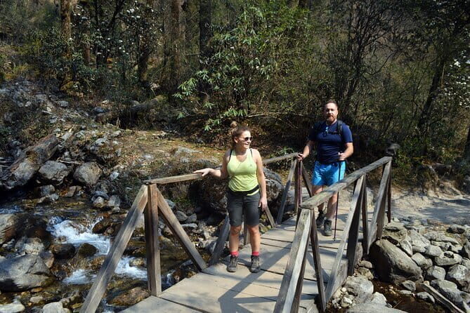 7 Day Trekking Tour from Kathmandu to Langtang Valley - The Itinerary: Step-by-Step Insights