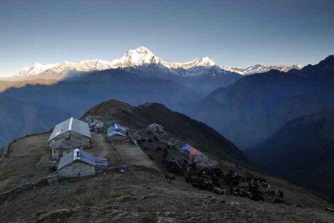 7 days 6 nights Khopra valley trek - The Value and Practical Considerations