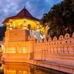 7 Days 6 Nights Package Tour with Holiday Walkers Sri Lanka - An In-Depth Look at the 7-Day Sri Lanka Tour
