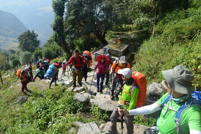 7 Days Backpackers Trek - Day 3: Trek to Dhampus