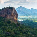 7 Days Classical Tour to Sri Lanka - Transportation and Guides: Making Travel Comfortable