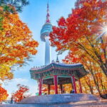 7 days Flexible Tour for Major Cities(Seoul,Busan,Gyeongju) - The Highlights of the Itinerary