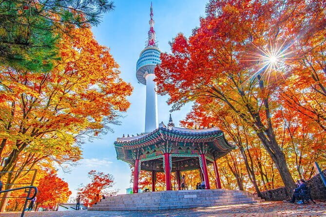 7 days Flexible Tour for Major Cities(Seoul,Busan,Gyeongju) - The Highlights of the Itinerary
