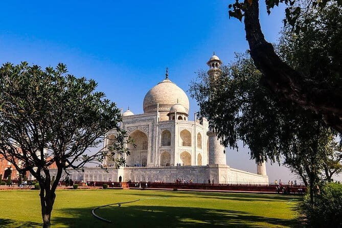 7 Days Golden Triangle Jodhpur Udaipur Tour - What Travelers Usually Say