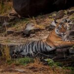 7 Days Golden Triangle Tour with Ranthambore: Delhi Agra Jaipur - Frequently Asked Questions