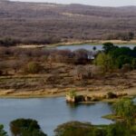7 days india Taj Mahal tour with ranthambore tiger safari - A Close Look at the Itinerary