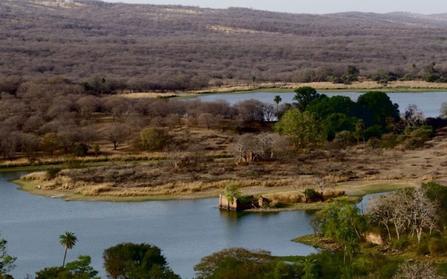 7 days india Taj Mahal tour with ranthambore tiger safari - A Close Look at the Itinerary