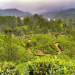 7 Days Kerala Tour- Munnar, Periyar, Houseboat & Varkala Beach - Who This Tour Is Best For