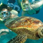8-Day Cairns Tour: Great Barrier Reef, Kuranda, Daintree Rainforest - What Are the Main Highlights?