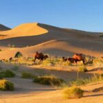 8-Day Dunhuang Jiayuguan Zhangye and Badain Jaran Private Tour - Final Thoughts