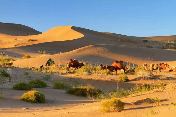 8-Day Dunhuang Jiayuguan Zhangye and Badain Jaran Private Tour - Final Thoughts