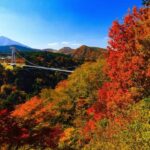 8-Day ONE WAY Bus Tour to Fukuoka from Osaka via SHIKOKU - What Makes This Tour Stand Out