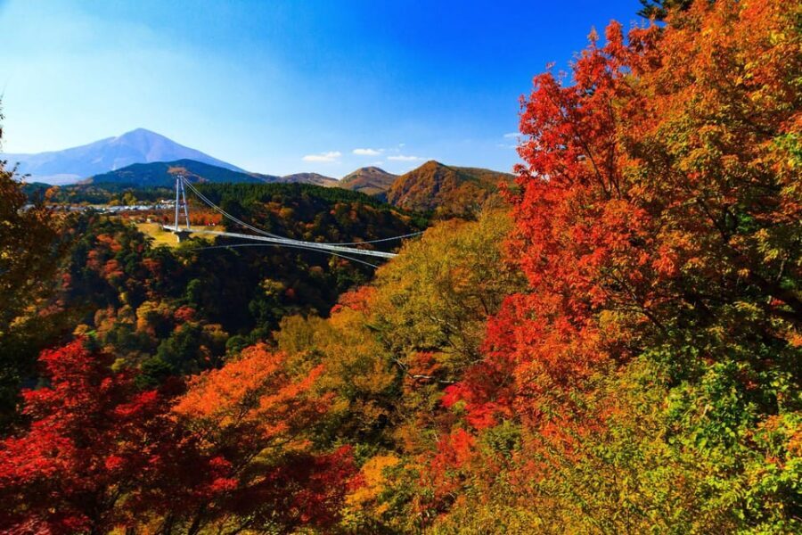 8-Day ONE WAY Bus Tour to Fukuoka from Osaka via SHIKOKU - What Makes This Tour Stand Out