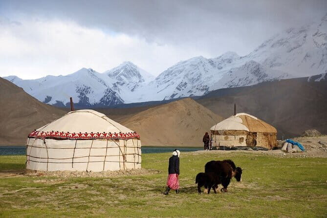 8 Day Tour in Nomadic Life of Kyrgyzstan - Issyk-Kul and the Ancient Petroglyphs