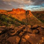 8 days Darwin, Kakadu National Park & Katherine Gorge Escorted Tour. - Discovering Kakadu’s Unique Habitat