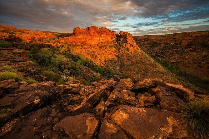 8 days Darwin, Kakadu National Park & Katherine Gorge Escorted Tour. - Discovering Kakadu’s Unique Habitat