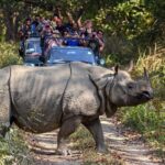 8 Days Tour in Nepal (4 Star Accommodation) - Authentic Experiences and Genuine Hospitality