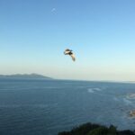 8-Hour Private Scenic Kapiti Coast Tour from Wellington - Who Would Enjoy This Tour Most?