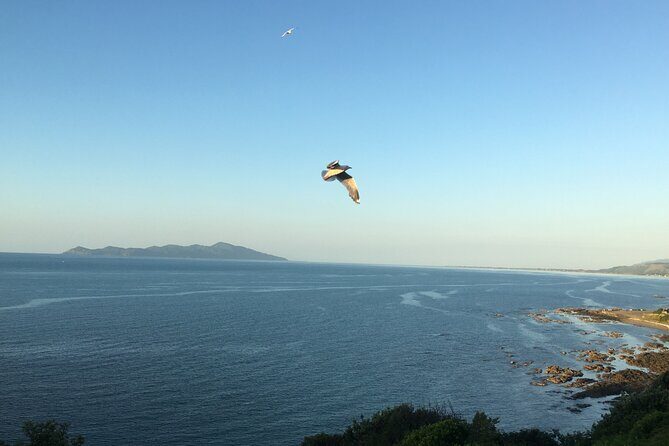 8-Hour Private Scenic Kapiti Coast Tour from Wellington - Who Would Enjoy This Tour Most?