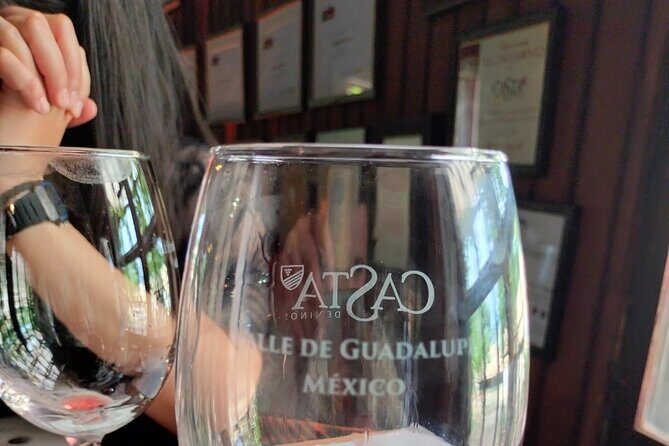 8 Hour Private Tour in the Guadalupe Valley 1-4 Passengers - Final Thoughts: Is This Tour Worth It?