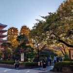 8-Hour Private Tour of Traditional Tokyo in Spanish - What Past Travelers Are Saying