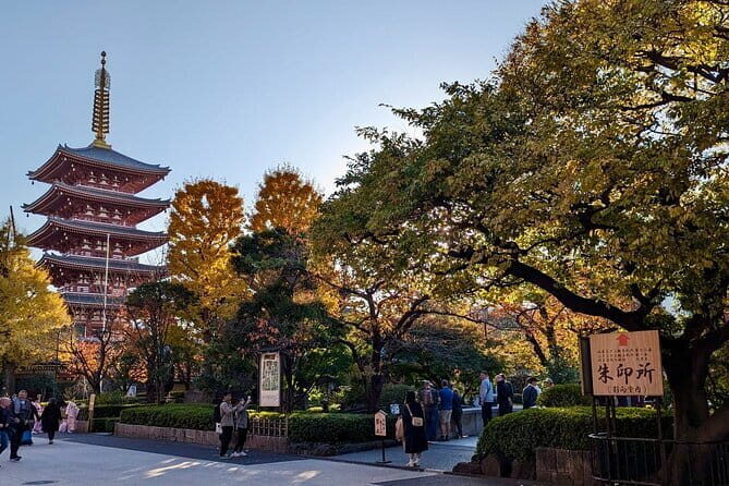 8-Hour Private Tour of Traditional Tokyo in Spanish - What Past Travelers Are Saying