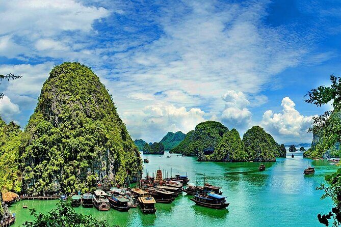9-Day Tour of Vietnam with Airport Pick Up - What Makes This Tour Special?