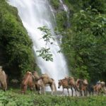 9 Days Druk-path Trek with Cultural sightseeing - Who Is This Tour Best Suited For?