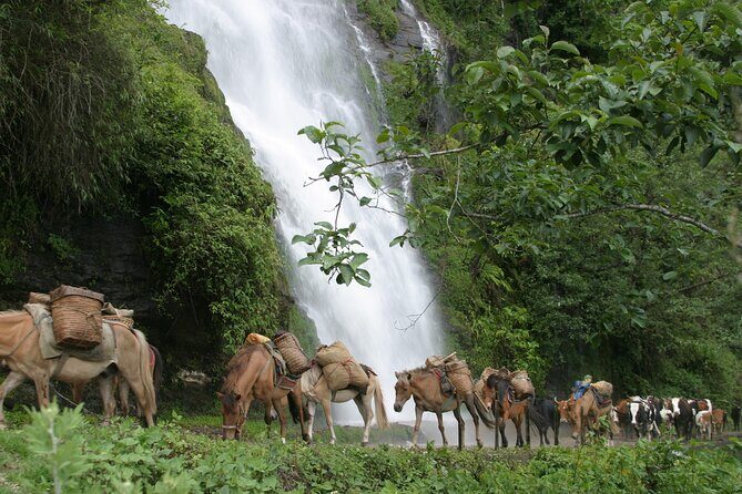 9 Days Druk-path Trek with Cultural sightseeing - Who Is This Tour Best Suited For?