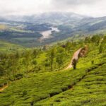 9 Days Private Exotic Kerala Tour - Final Thoughts: Is This Tour for You?