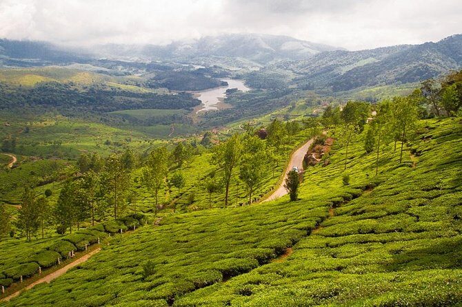 9 Days Private Exotic Kerala Tour - Final Thoughts: Is This Tour for You?