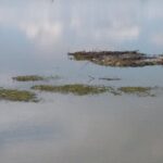 90 Minute Airboat Tour in the Florida Everglades - Who Will Love This Experience?