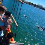 90 Minute Midweek Pirate Ship Scenic Cruise - What Travelers Say