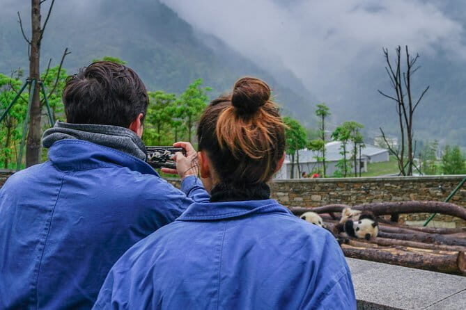 a better Panda Volunteer Experience at the Best panda base - WOLONG - The Itinerary: What to Expect on the Day