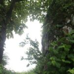 A Day in the Countryside Around Mumbai - The Value of the Tour