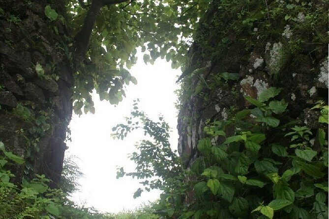 A Day in the Countryside Around Mumbai - The Value of the Tour