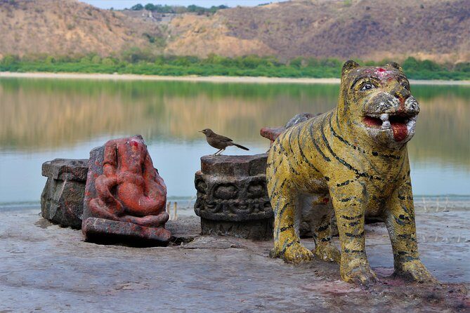 A Day Tour: Lonar crator lake with mesmerizing views - Authentic Experiences and Practical Details