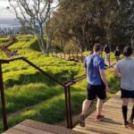 A Day Trip in Auckland City - Transportation and Practicalities