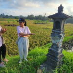 A Morning Walk at Sacred Rice Fields Through Tradition and Nature - An In-Depth Look at the Experience