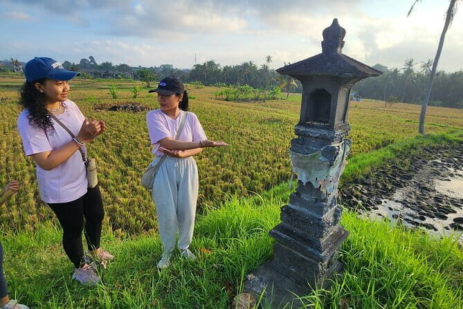 A Morning Walk at Sacred Rice Fields Through Tradition and Nature - An In-Depth Look at the Experience