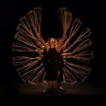 A O Show - Included: Tour guide, Car Pick Up And Drop Off - What to Expect from the Itinerary